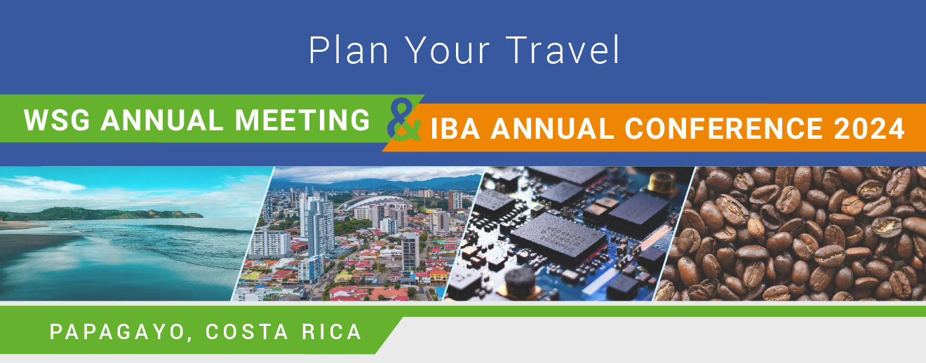 World Services Group