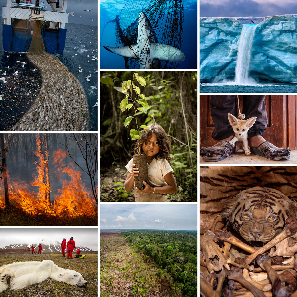 As we approach World Nature Conservation Day on July 28th, we are ...