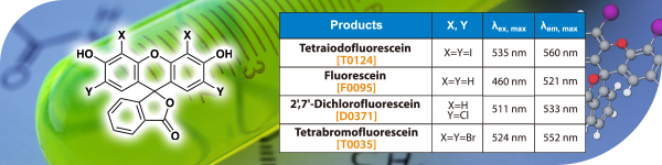 Iodinated Fluorescein for Various Applications