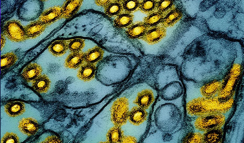 MicroBytes - Hardy Diagnostics' Newsletter