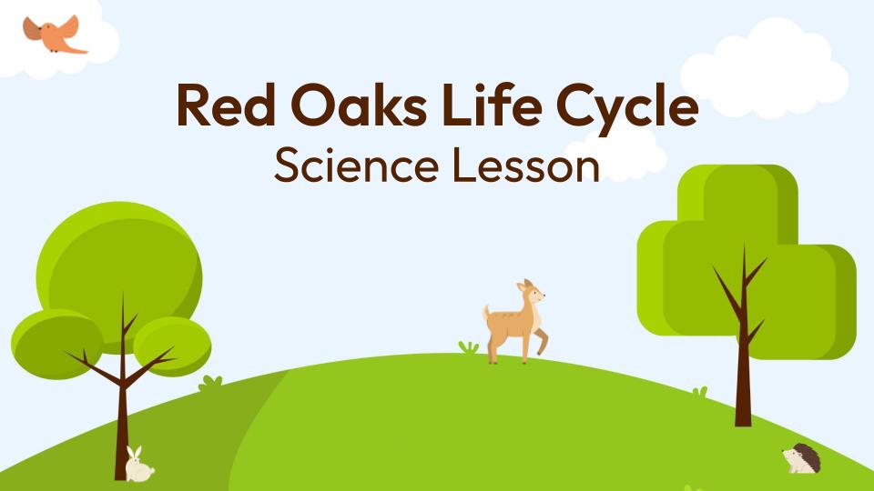 Social Studies Unit Plans