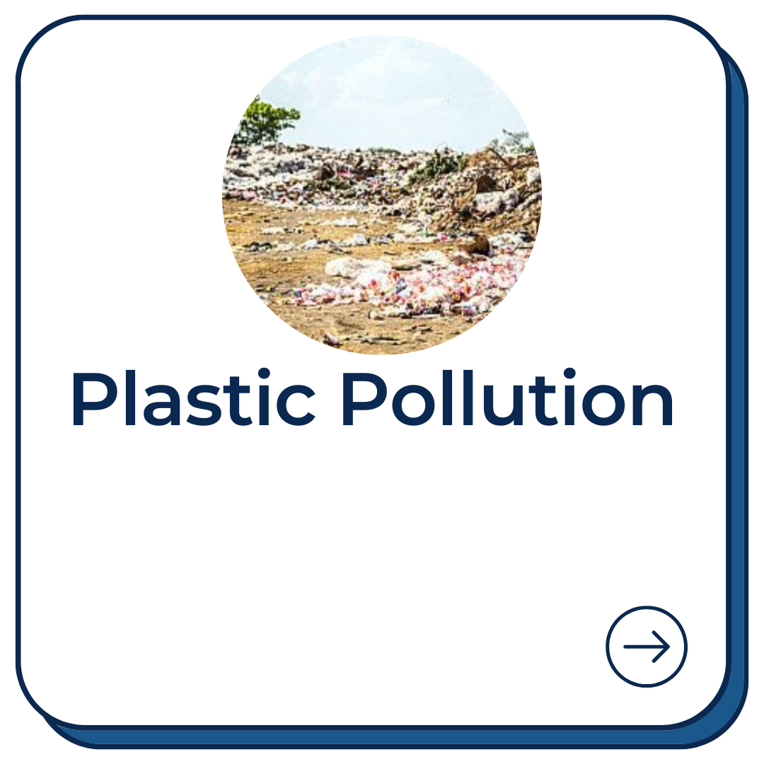Plastic Pollution Lesson Plans for Kids