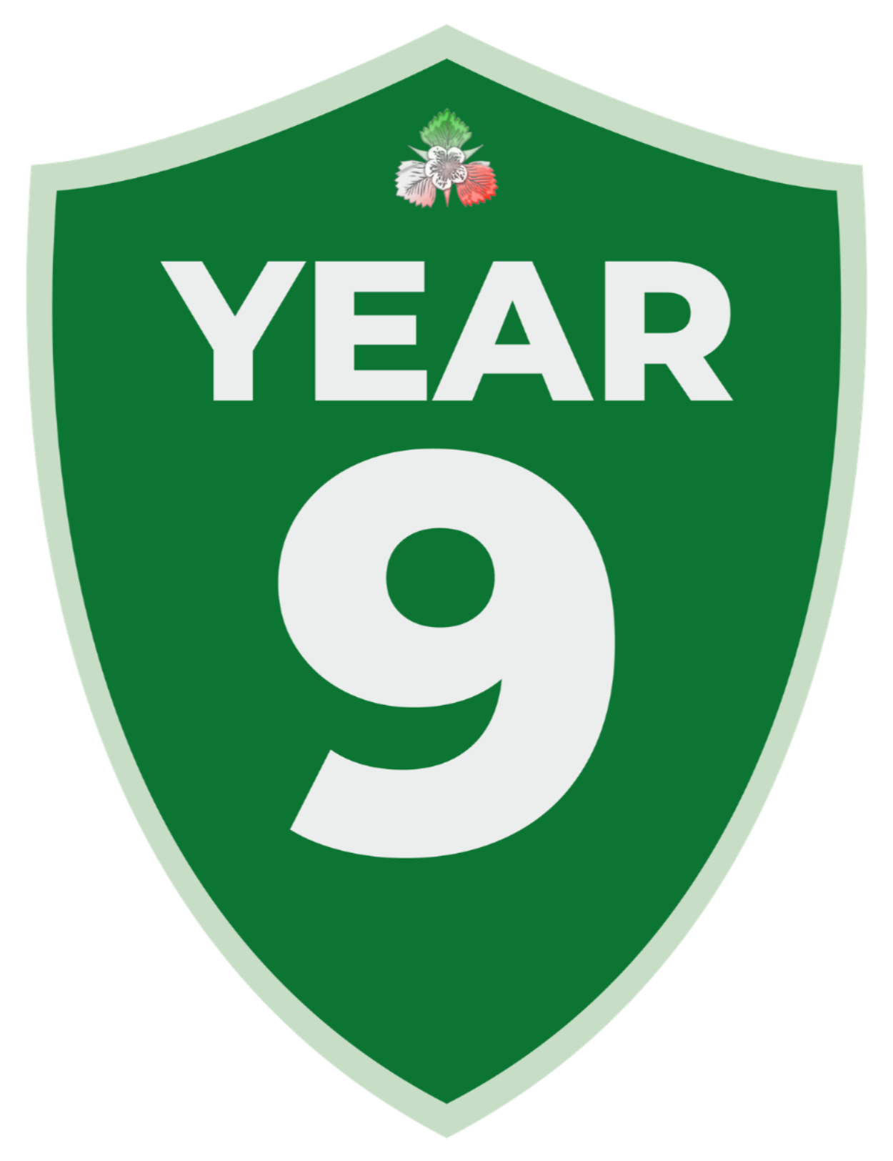 Education for Life lessons: Civil Disorder and Riots