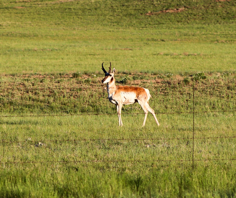 Your Neighborhood Guide