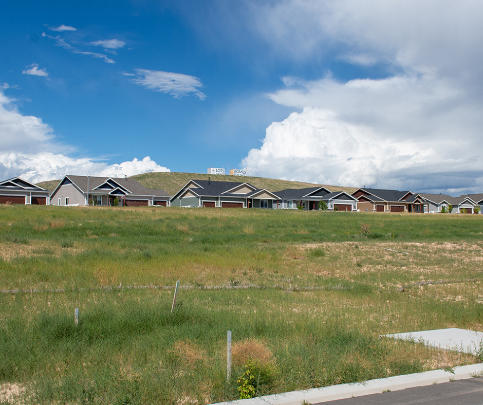 Your Neighborhood Guide