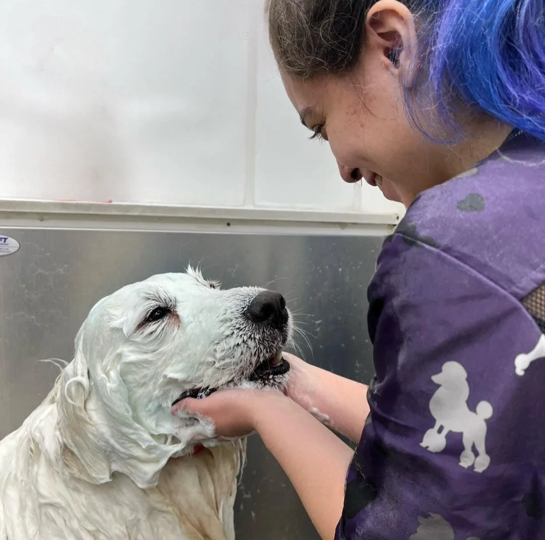 Grooming | Bark & Bone - Premium Dog Nutrition & Grooming | Bark & Bone