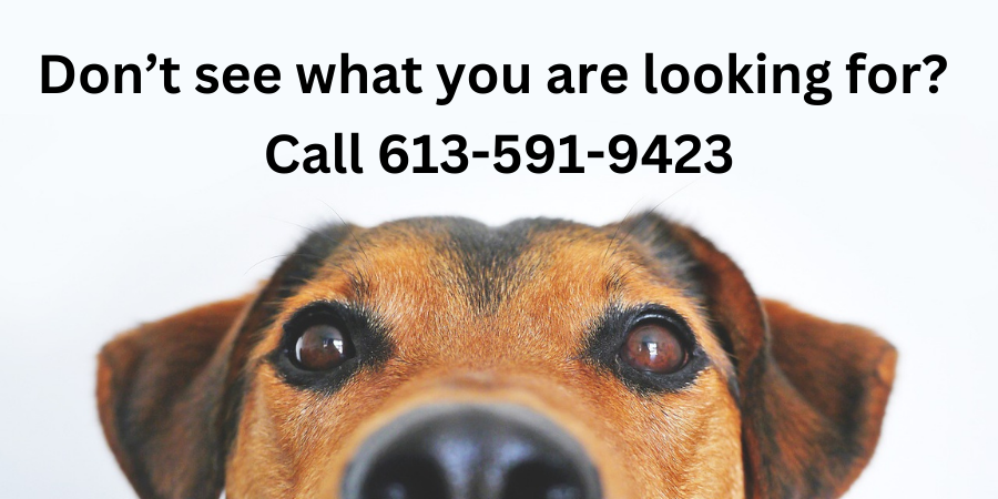 March Road Pet Food and Supplies