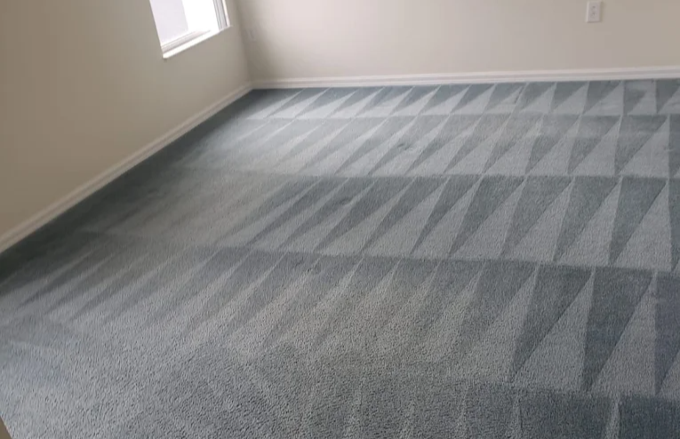 Orlando Commercial Carpet Cleaning | Stain Removal & Guaranteed Results ...