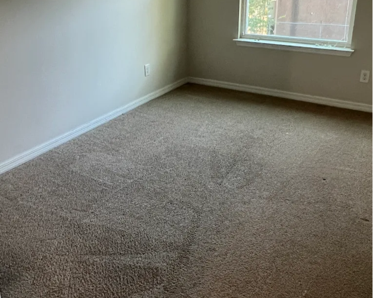 Project Gallery - Dan Dan the Carpet Man
