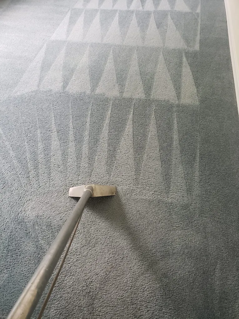 Orlando Commercial Carpet Cleaning | Stain Removal & Guaranteed Results ...