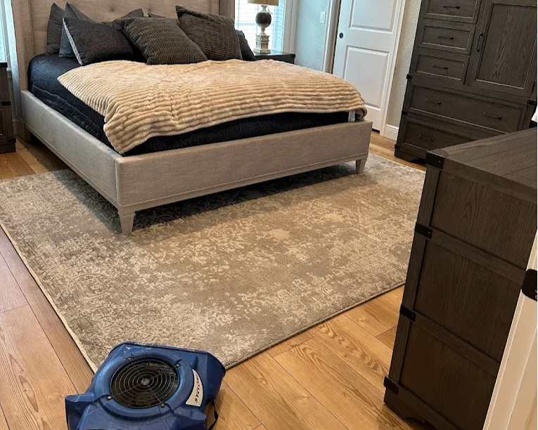 Project Gallery - Dan Dan the Carpet Man