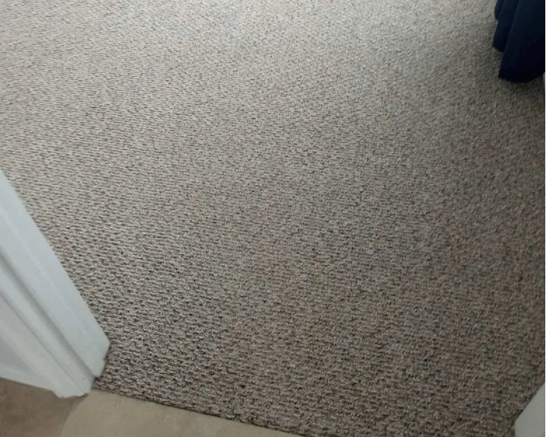 Project Gallery - Dan Dan the Carpet Man