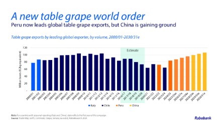 Peru takes the lead in global table grape exports - Hortimedia