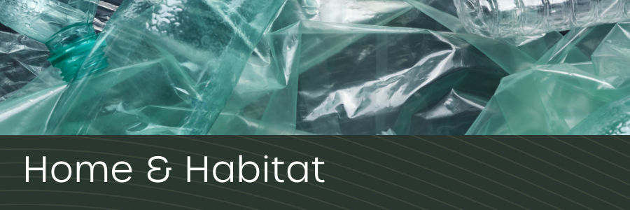Conservation Corner: The persistence of plastics - Coastal Conservation ...