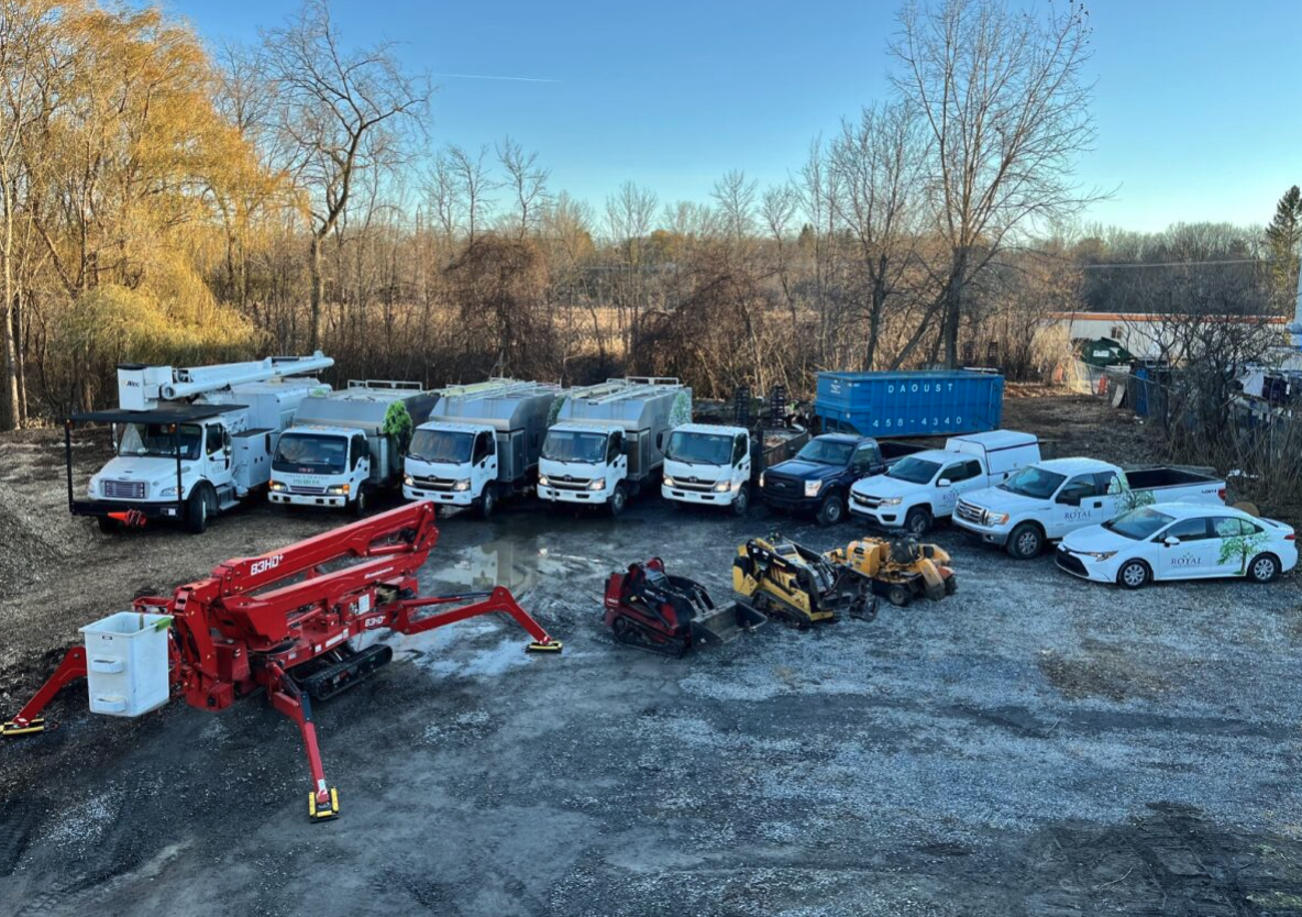 About Us - Royal Tree Service