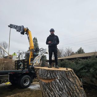 Tree Removal Services by Limb Walkers Tree Service - Limb Walkers Tree ...