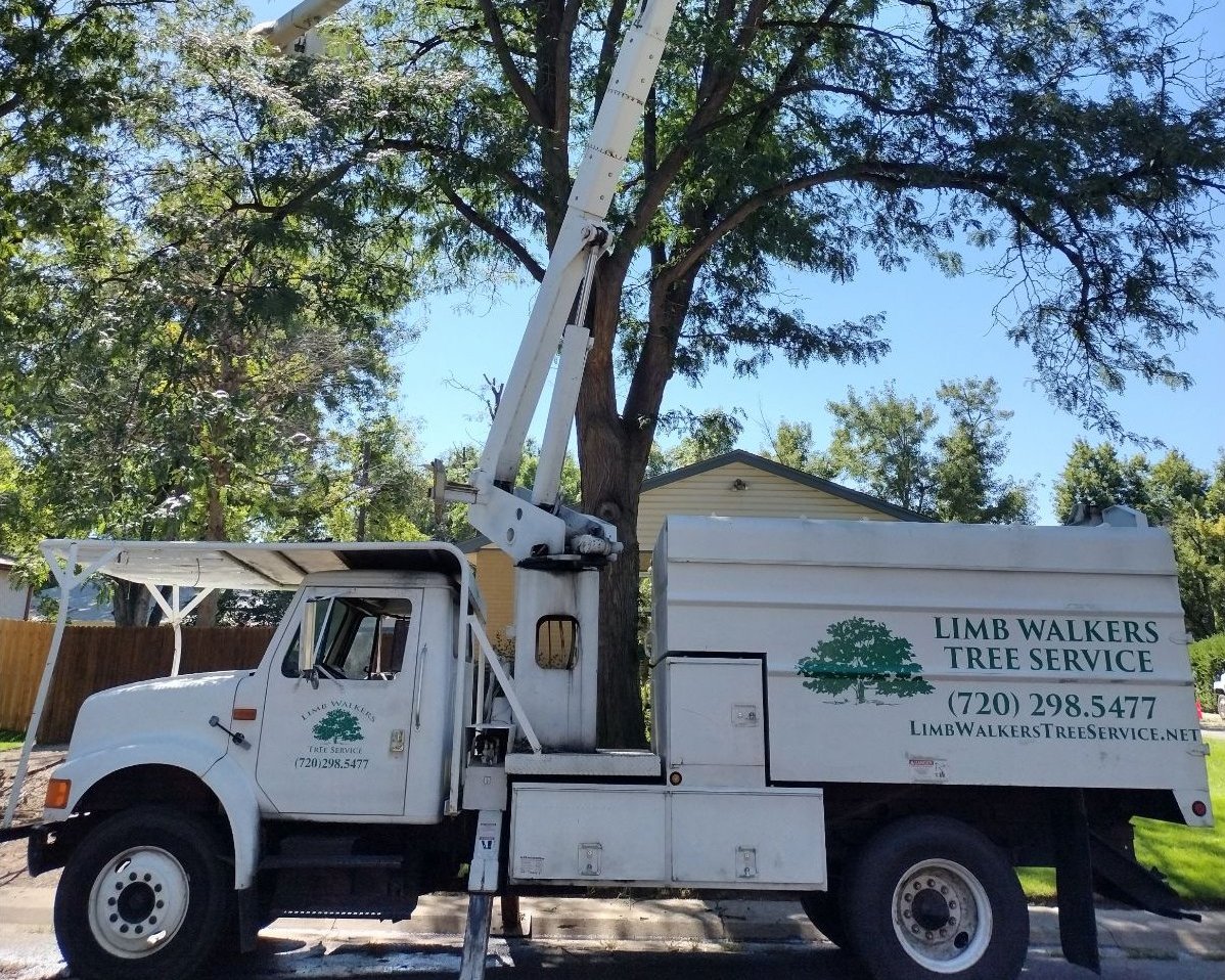 Meet The Machines of Limb Walkers Tree Service - Limb Walkers Tree Service