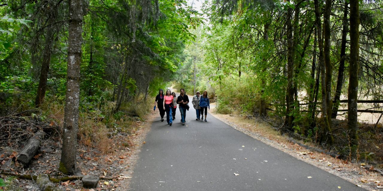 Forest Bathing & Nature Therapy in Portland, OR | Shinrin-Yoku Walks ...