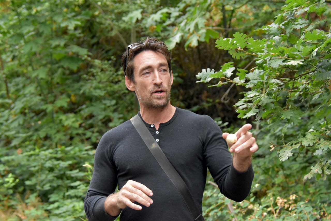 About Tillis Tree Care | Holistic Tree Experts in Portland, OR - Tillis ...