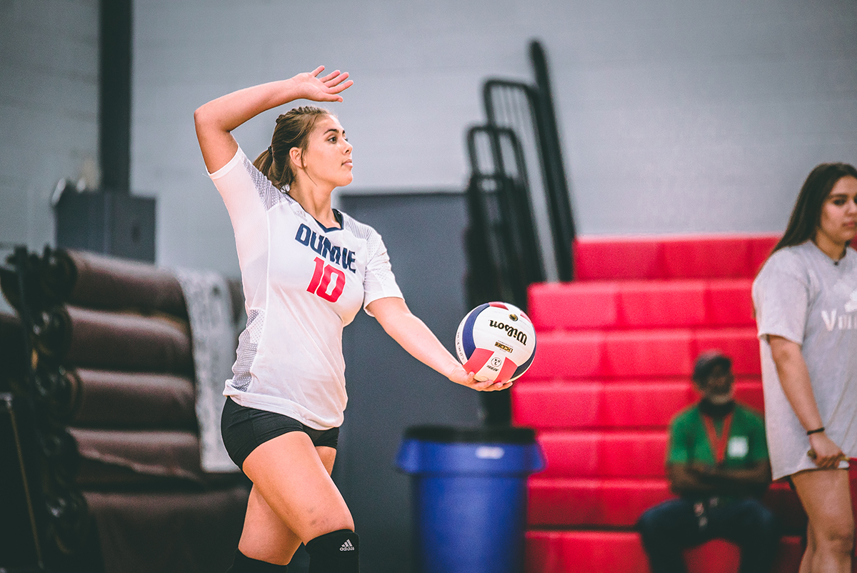 Falconer - August 16, 2018