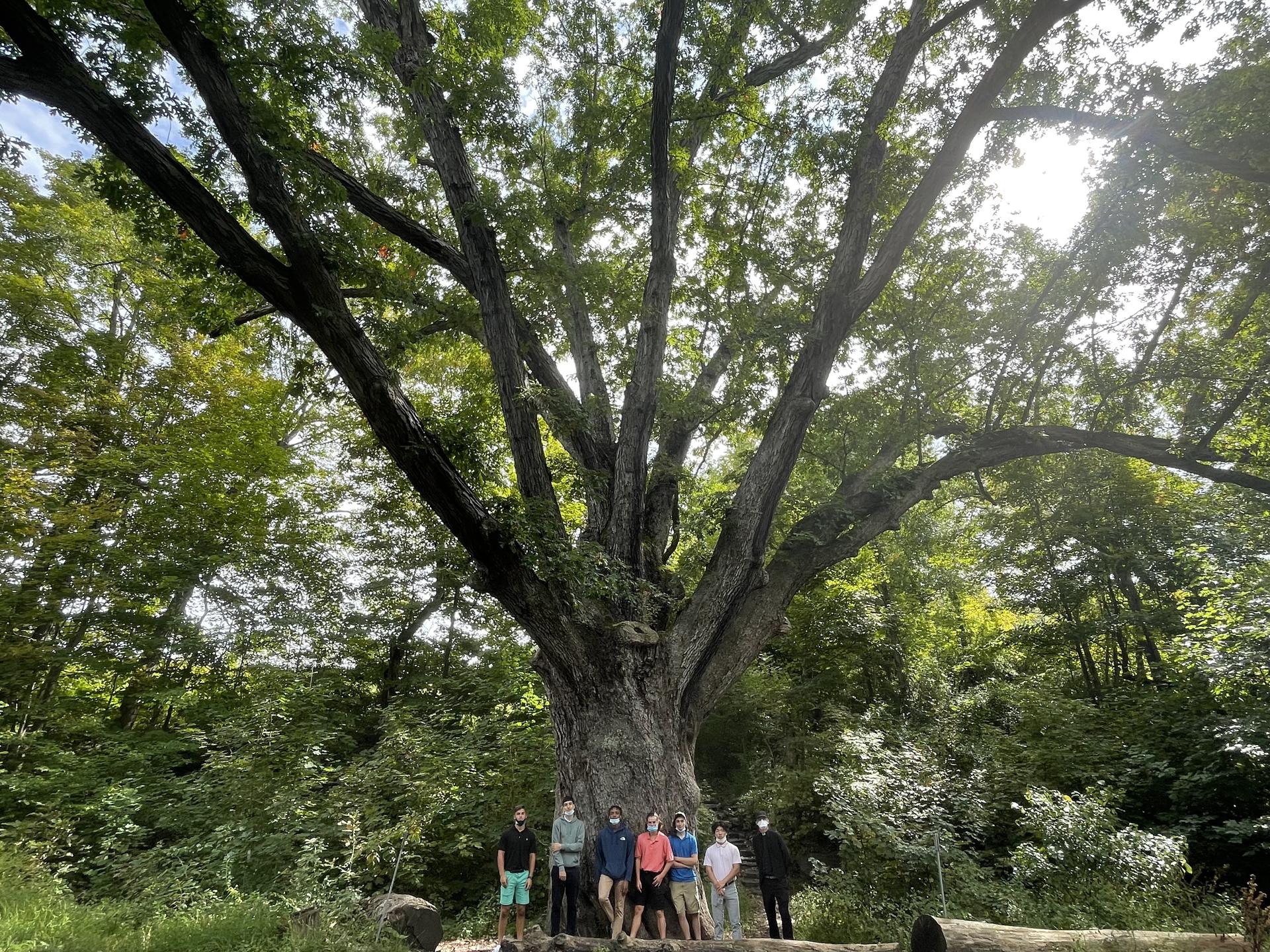 Class Photo in front of the Dover Oak Tree