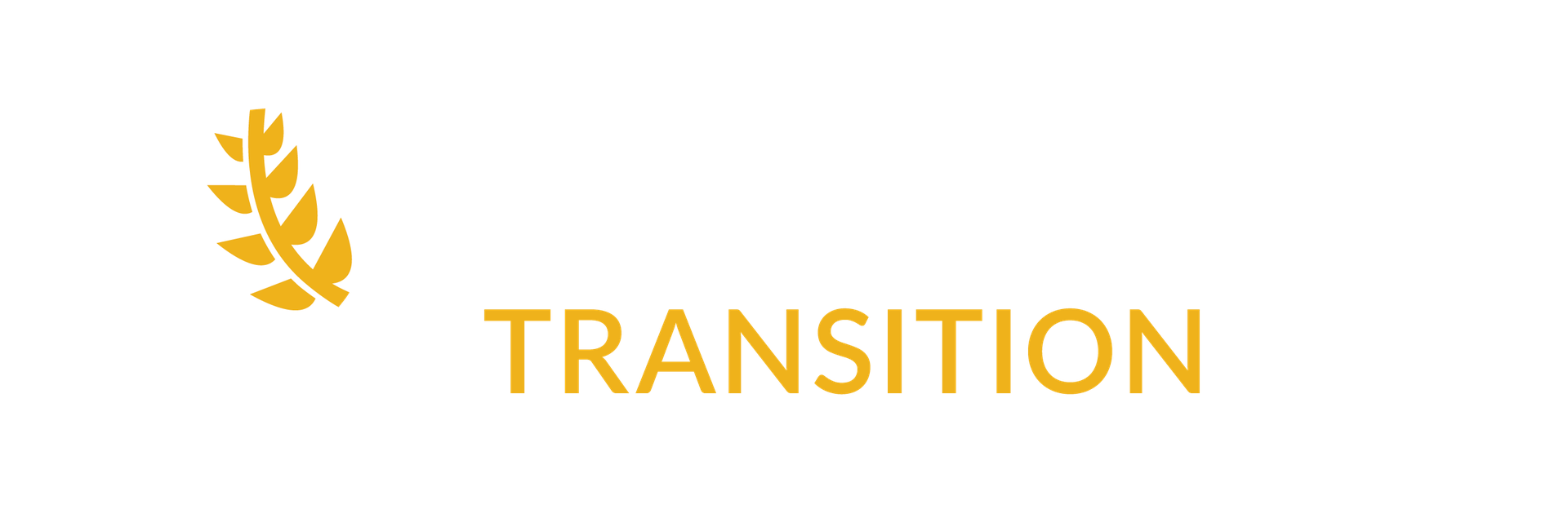 Wayzata Transition Logo