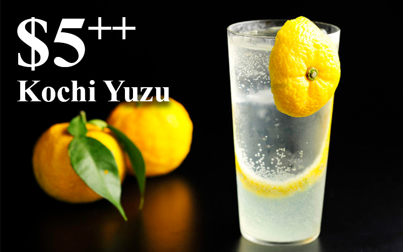 Ginza Anzu - J Passport