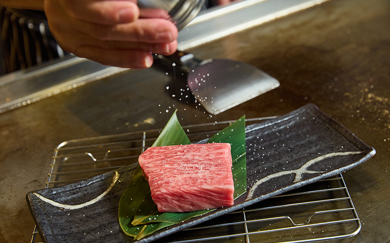 Teppan Works - J Passport