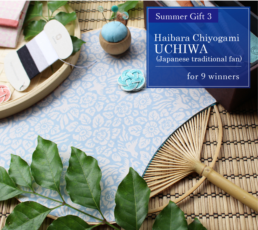 Starting July 1st! Cohana Summer Campaign! 2023 – Cohana Online Store