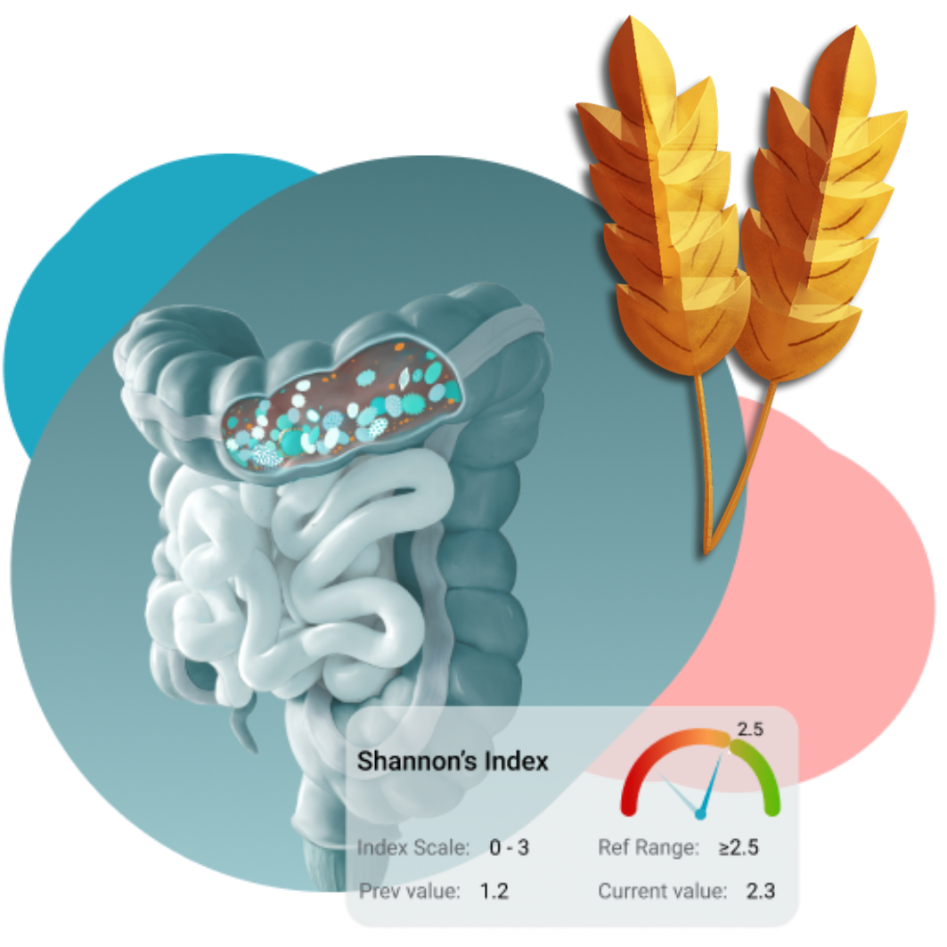 Gut Zoomer + Wheat Zoomer