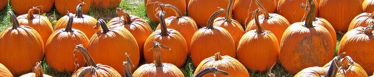 Fall Festival Reminder