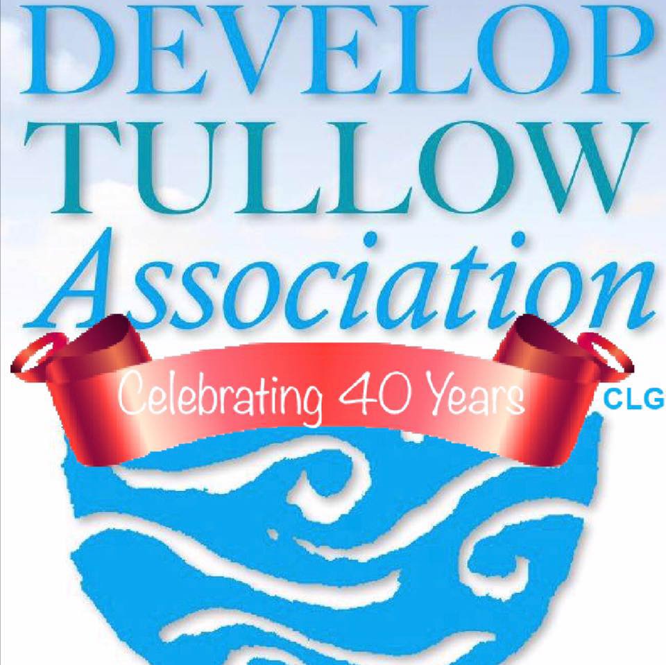 Tullow Swift - Survey 2022