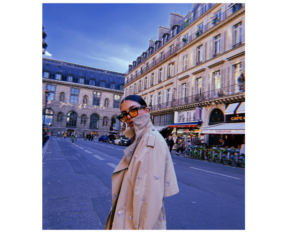 Lemonade Fashion: The Ultimate Guide To Parisian Fashion | Milled