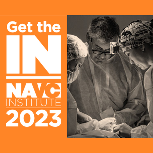 NAVC Institute