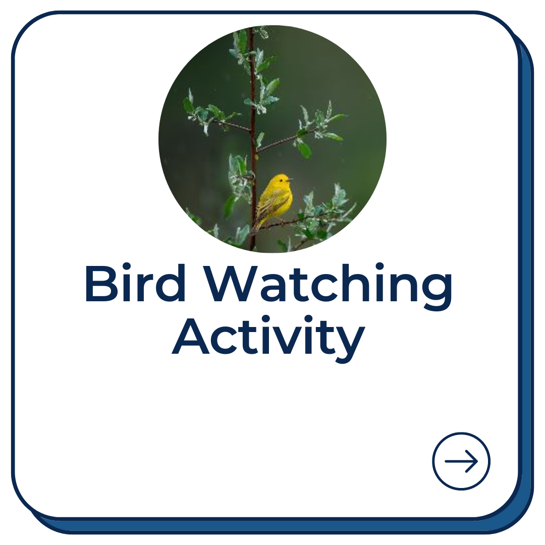 10 Climate Change Activities For Kindergarten SubjectToClimate 10 Climate Change Activities For Kindergarten SubjectToClimate