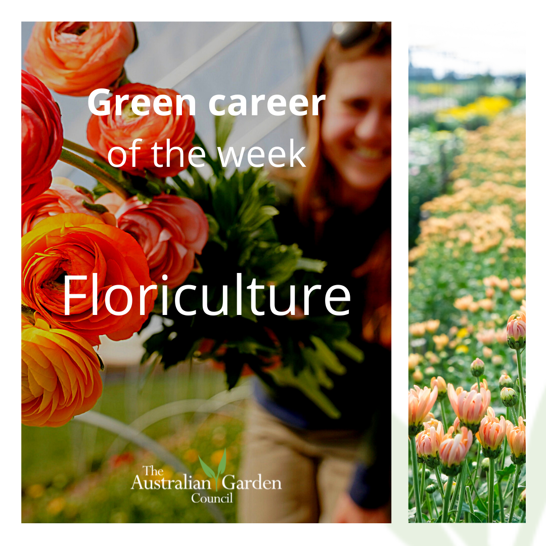 Jobs and Careers in Horticulture