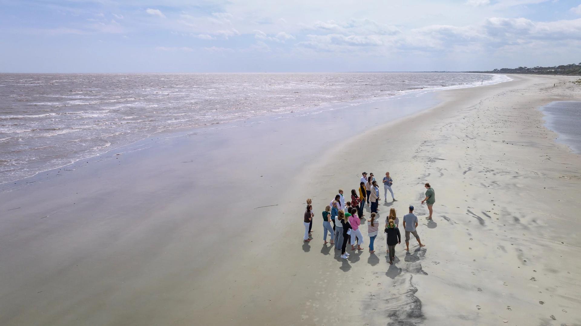 ALUMNI SERVE AS MENTORS FOR SEA ISLAND SCHOLARS